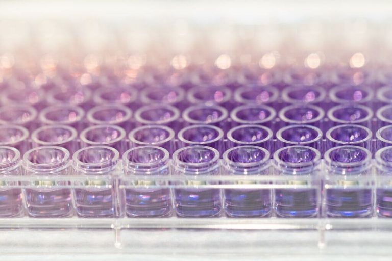 Contact – Devlin Lab