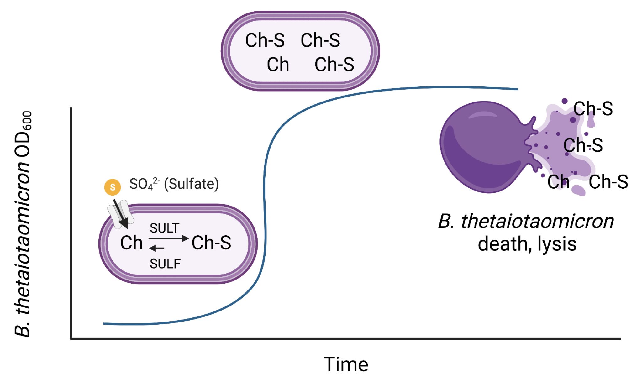 Research – Devlin Lab