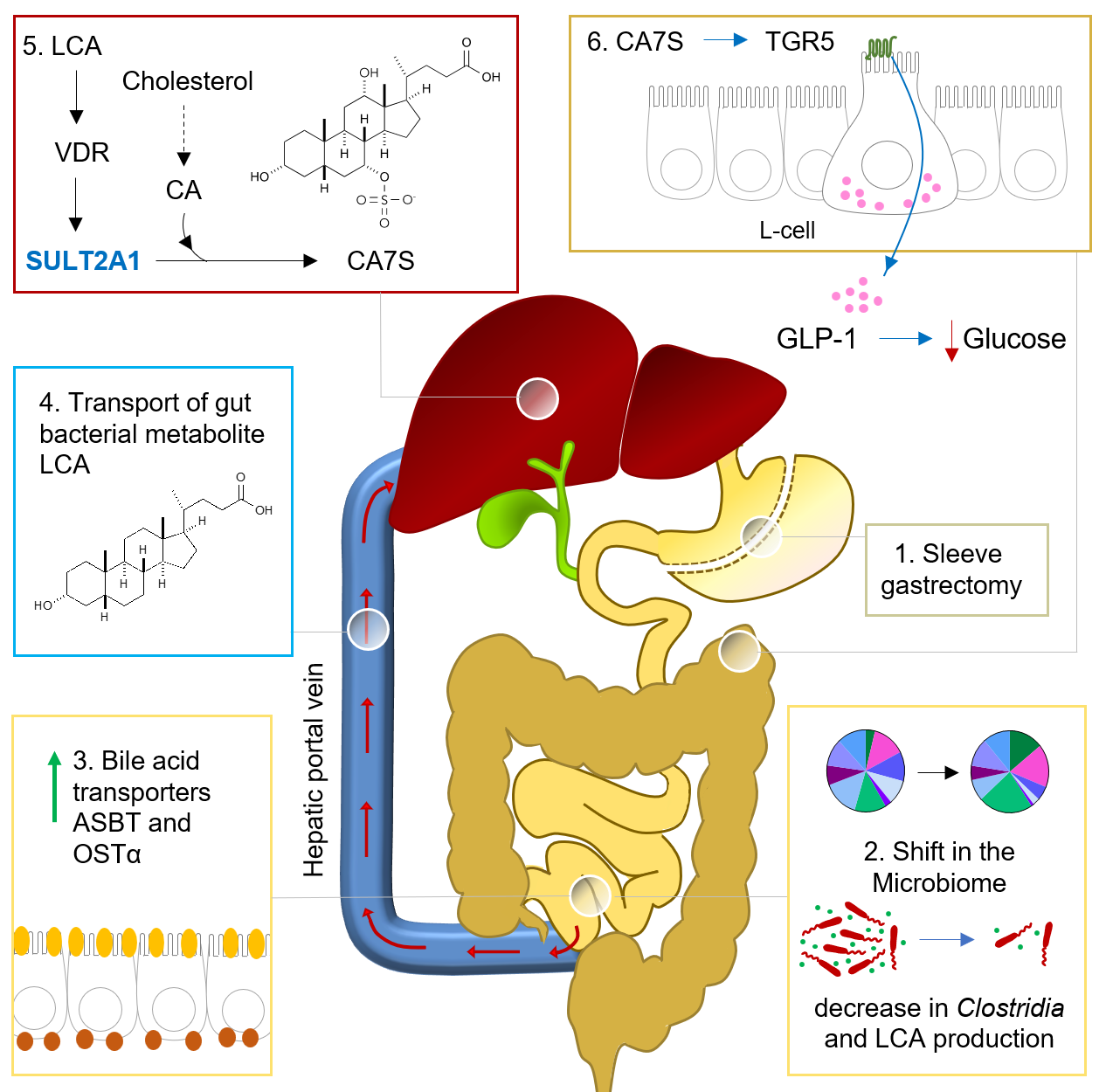 Research – Devlin Lab